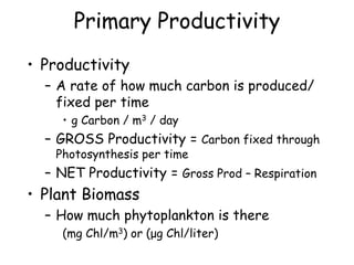 Primary Productivity