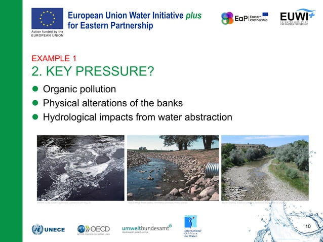 Principles of biological classification | PDF | Geography | Science