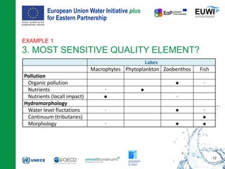Principles of biological classification | PDF