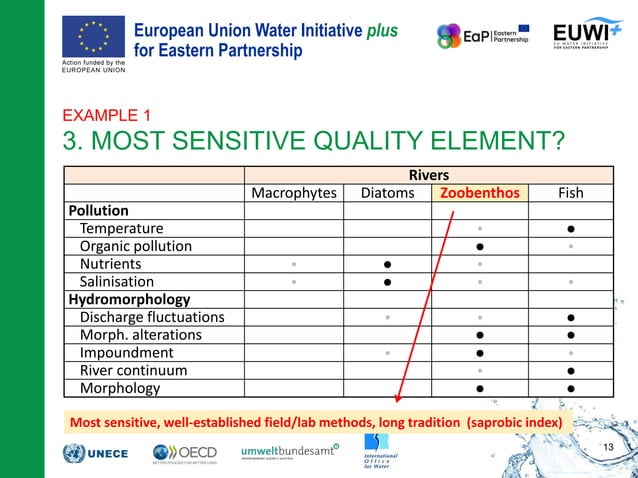 Principles of biological classification | PDF | Geography | Science