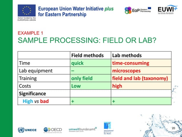 Principles of biological classification | PDF | Geography | Science