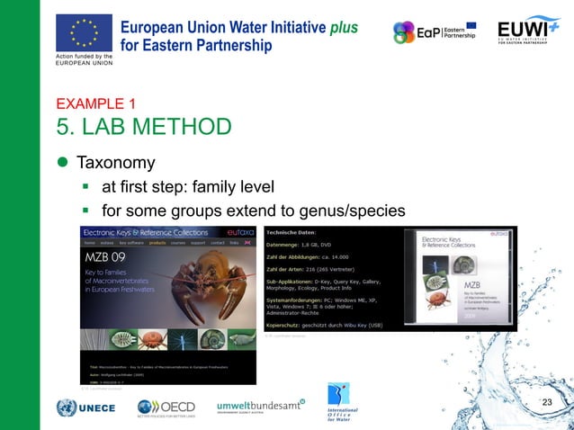 Principles of biological classification | PDF | Geography | Science