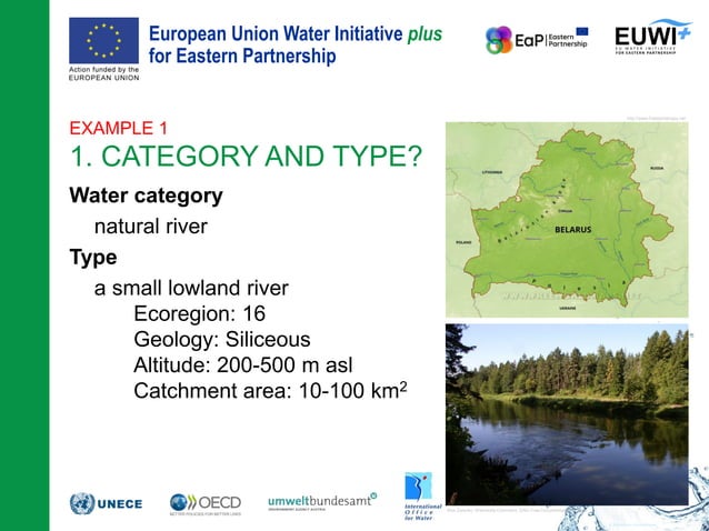 Principles of biological classification | PDF | Geography | Science