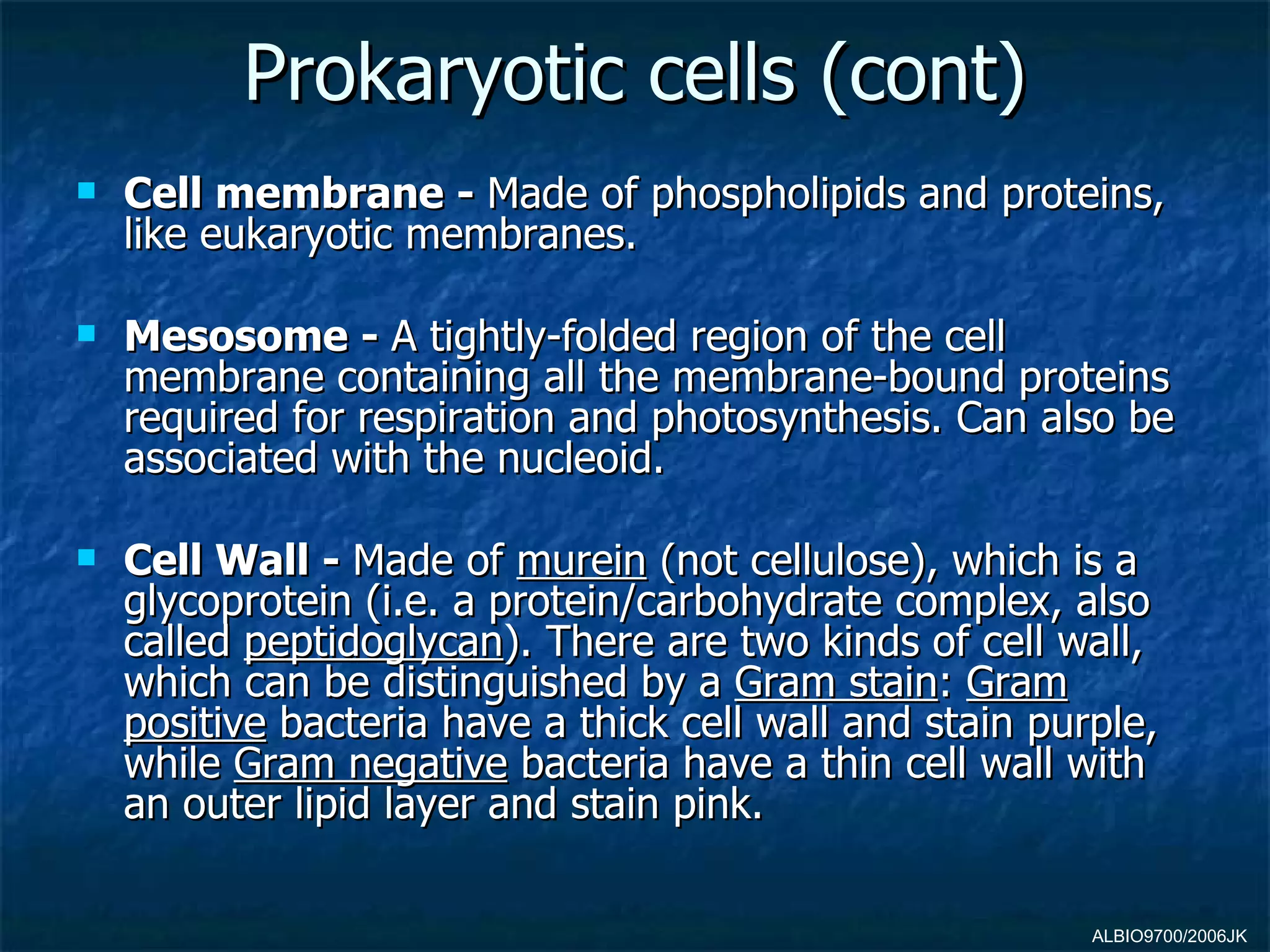 03 Prokaryotic and eukaryotic cells | PPT