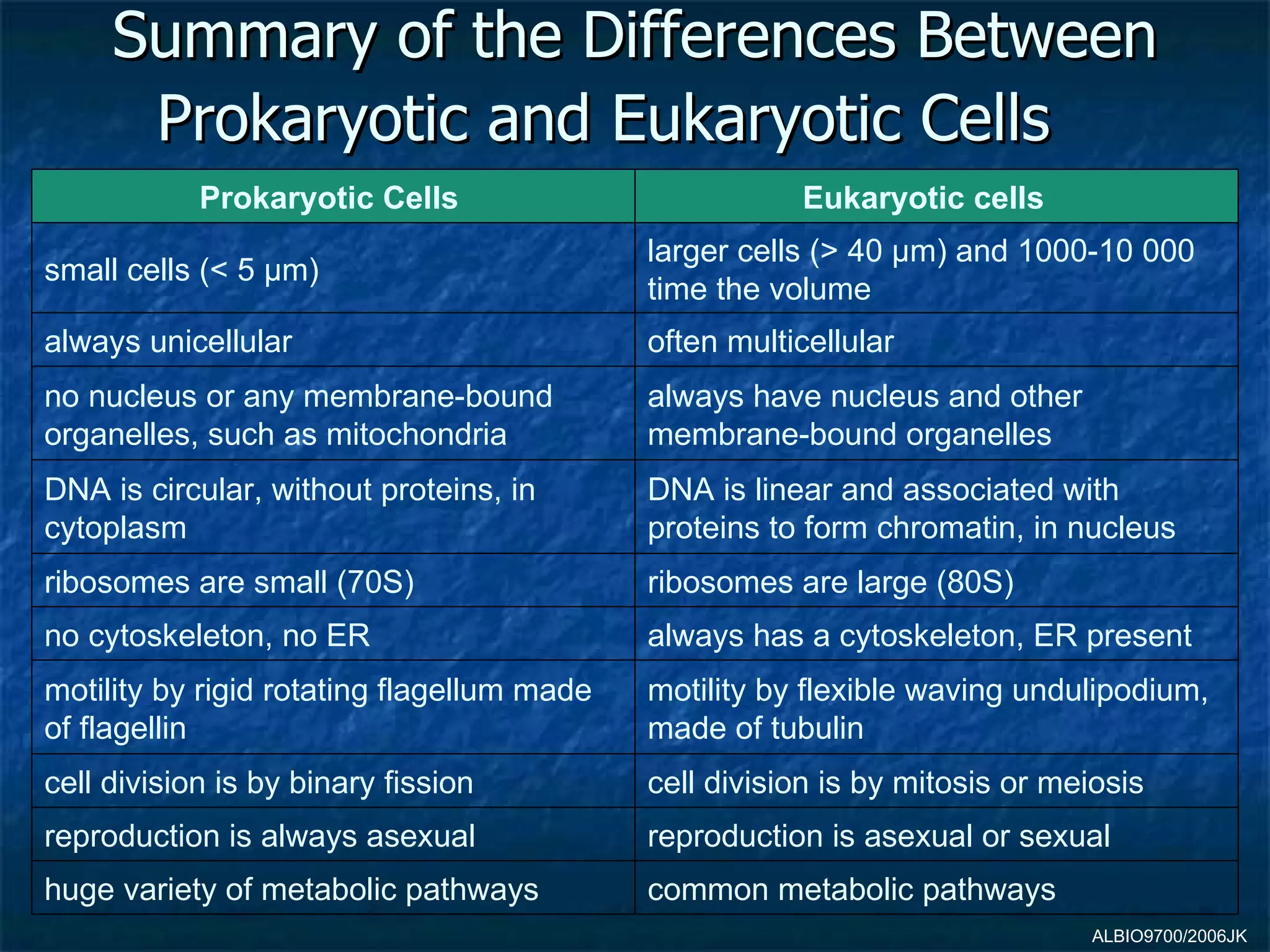03 Prokaryotic and eukaryotic cells | PPT