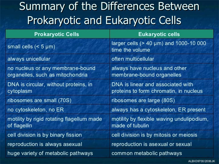 Ppt Prokaryotic And Eukaryotic Classification