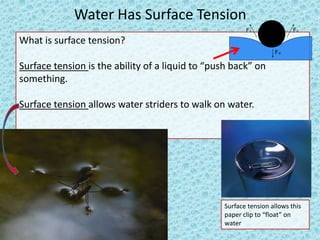 Properties of Water | PPTX