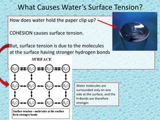 Properties of Water | PPTX