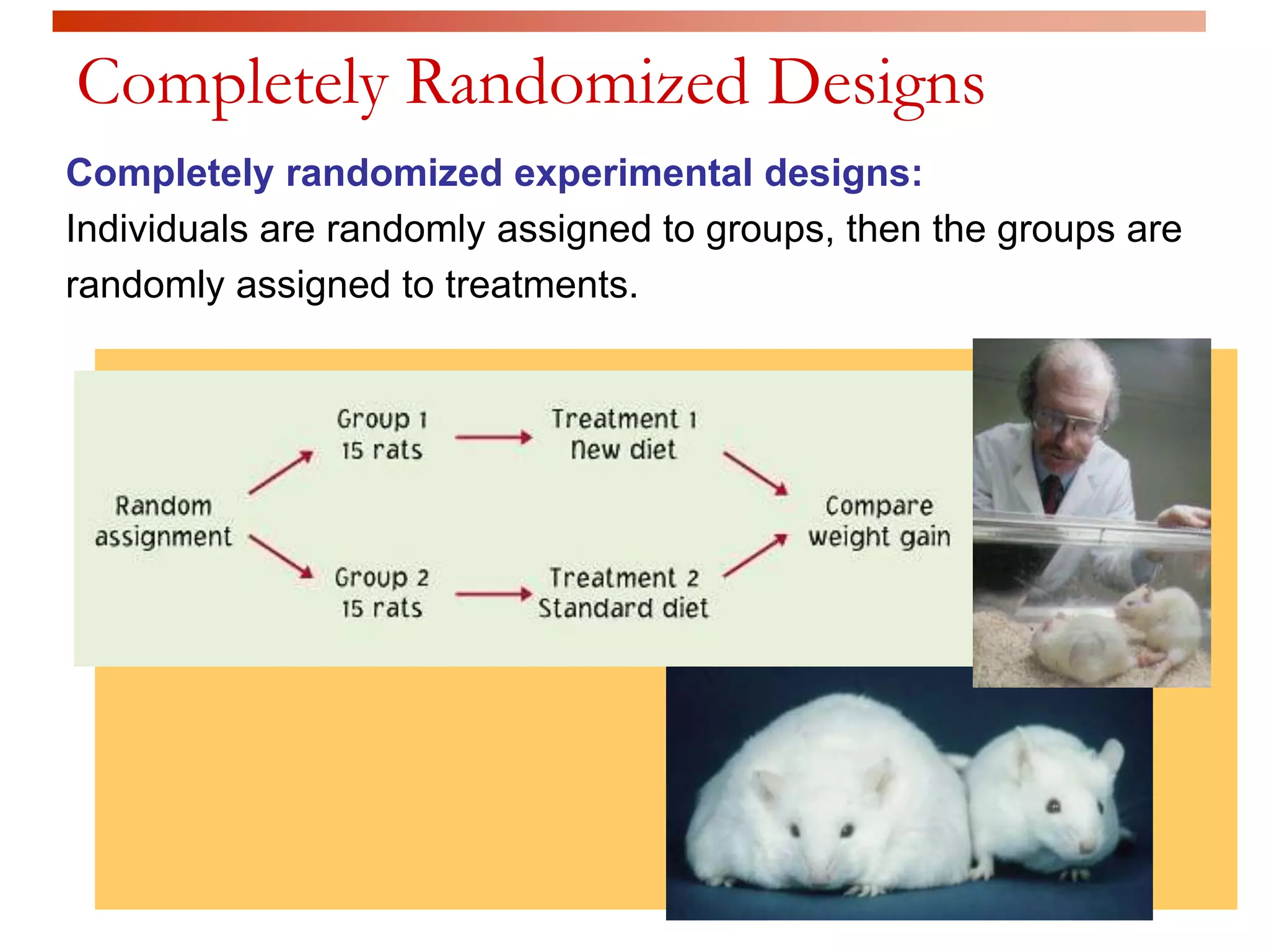 03 PSBE3_PPT.Ch03.ppt