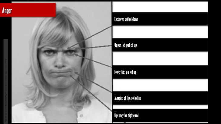 Lie Detection - Reading the Face