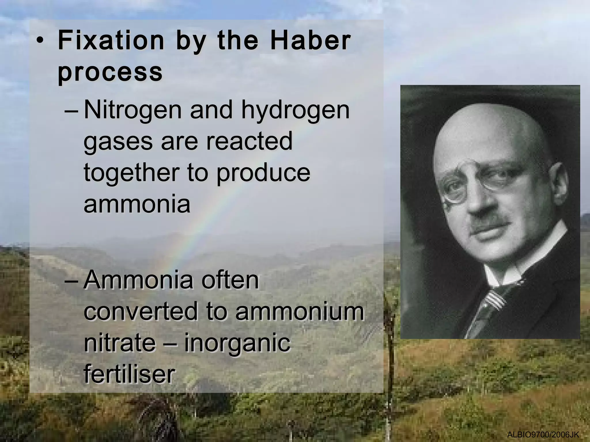 03 Recycling of Nitrogen | PPT
