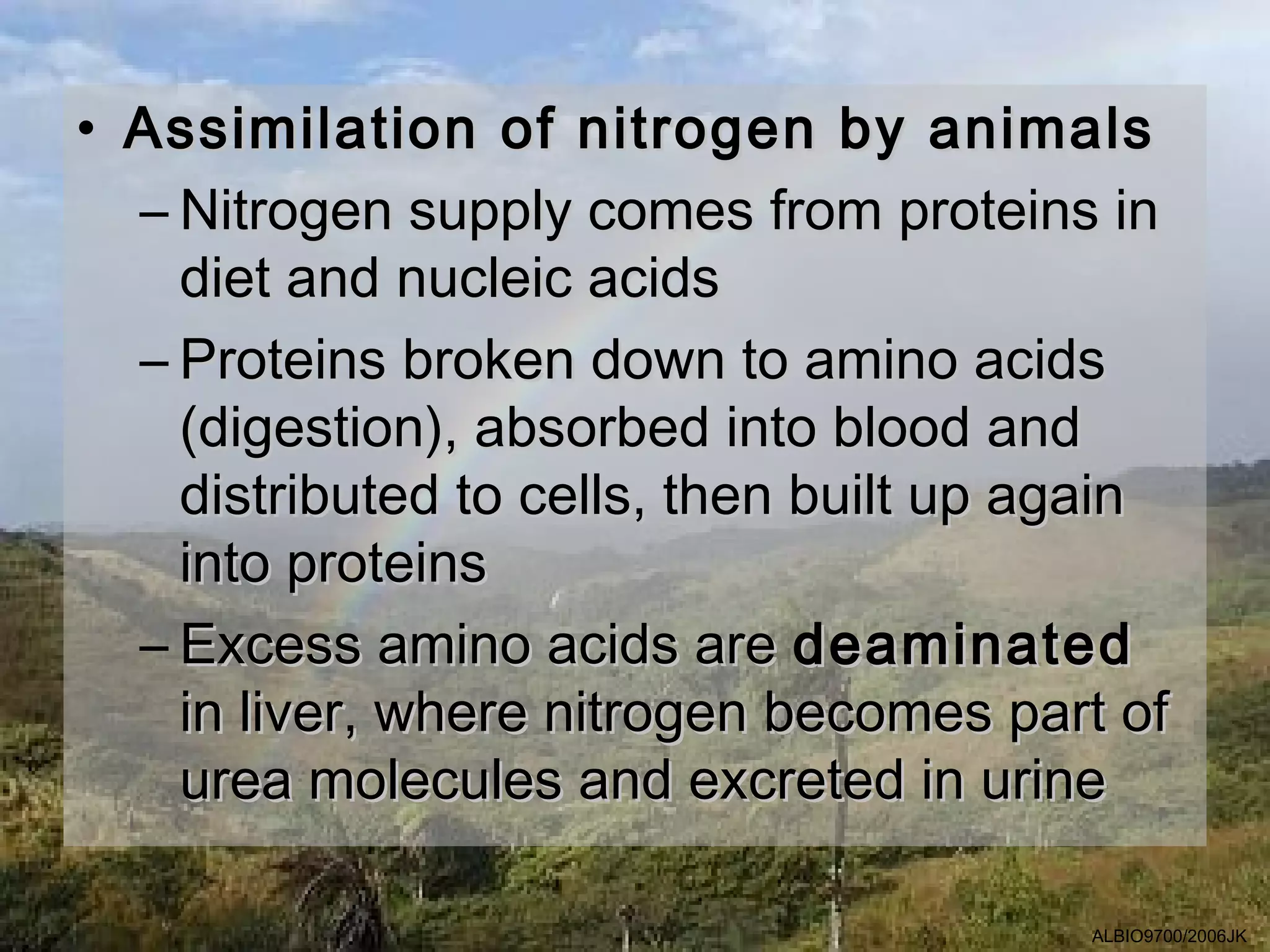 03 Recycling of Nitrogen | PPT