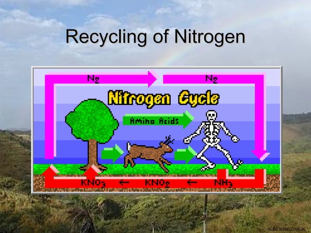 03 Recycling of Nitrogen | PPT