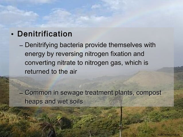 03 Recycling of Nitrogen | PPT