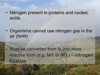 03 Recycling of Nitrogen | PPT
