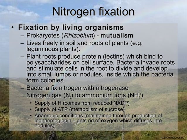 03 Recycling of Nitrogen | PPT