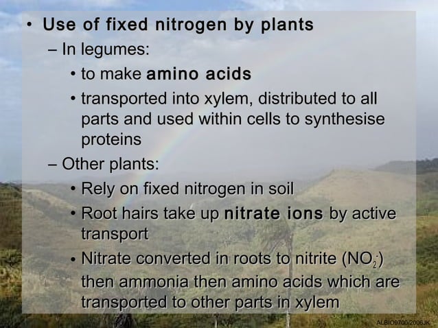 03 Recycling of Nitrogen | PPT