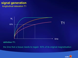 03 relajacion longitudinal | PPT
