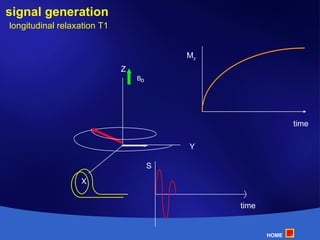 03 relajacion longitudinal | PPT