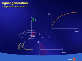 03 relajacion longitudinal | PPT