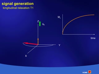 03 relajacion longitudinal | PPT