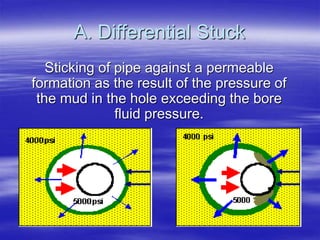 03_Rig Processessssssssssssssssssssss.ppt