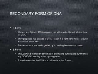 Biochemistry of DNA Structure | PPTX