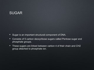 Biochemistry of DNA Structure | PPTX