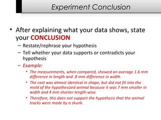 Science Inquiry: Conclusion | PPT