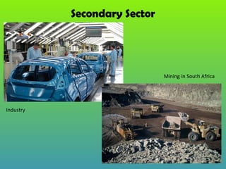 Secondary Sector