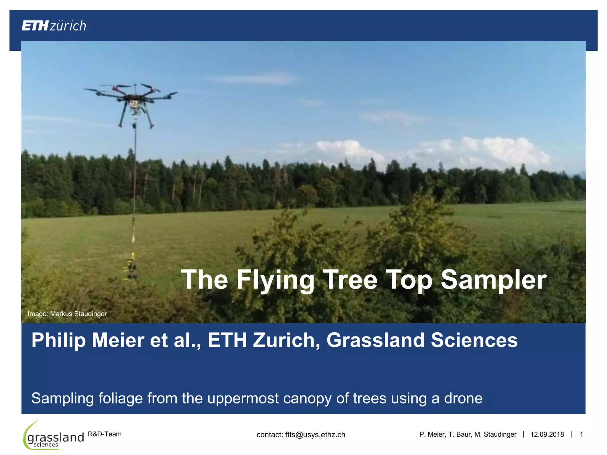 The Flying Tree Top Sampler | PPTX