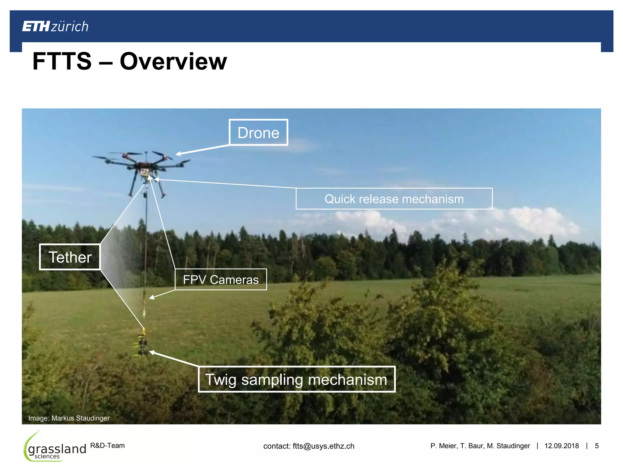 The Flying Tree Top Sampler | PPTX