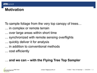 The Flying Tree Top Sampler | PPTX