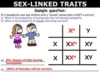 03 sex linked inheritance | PPT