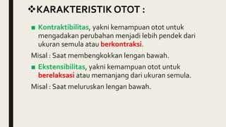 03 sistem gerak pada manusia otot | PPTX