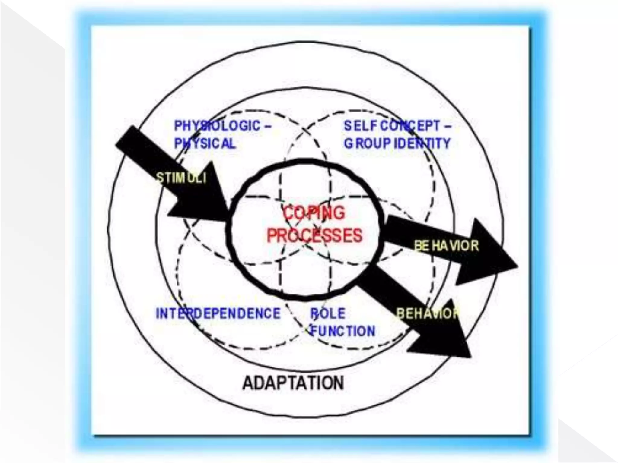 Sister Callista Roy’s Adaptation Theory | PPTX