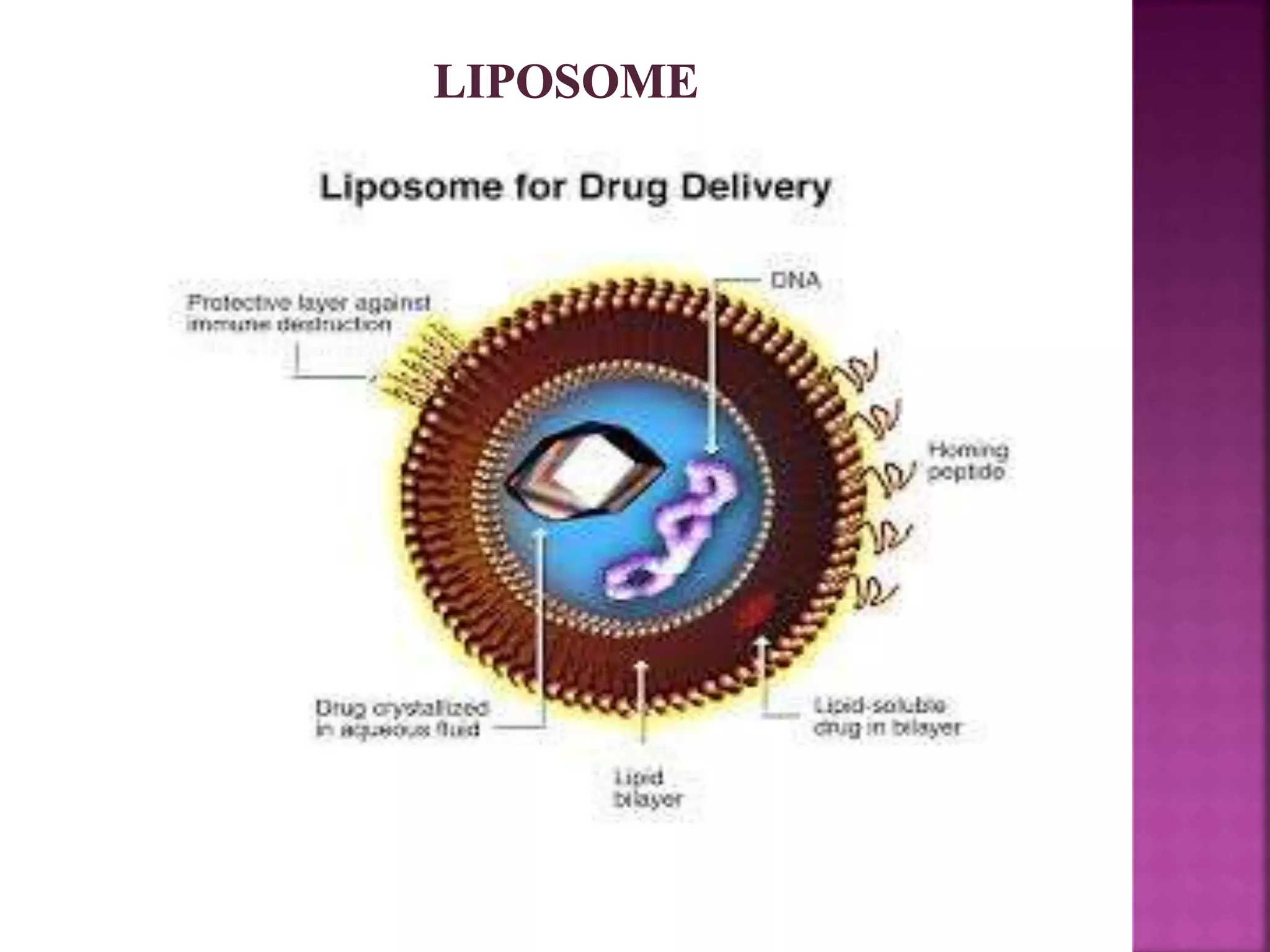 03 spandana liposomes_ppt | PPTX | Chemistry | Science