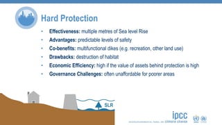 Implementing Adaptation to SLR | PPT