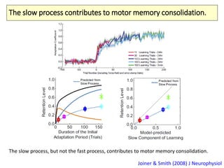 Computational Motor Control: State Space Models for Motor Adaptation (JAIST summer course) | PPT