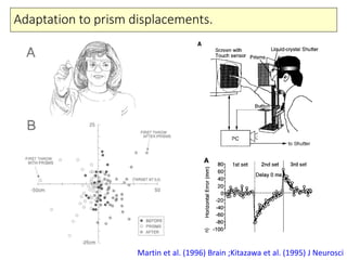 Computational Motor Control: State Space Models for Motor Adaptation (JAIST summer course) | PPT