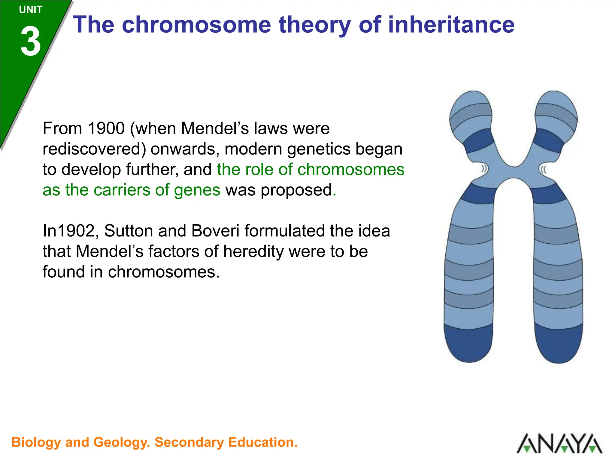 03_teoria_cromoso_ing.ppt