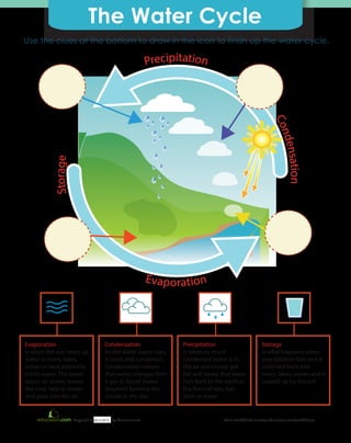 03 the water-cycle | PDF | Weather | Science