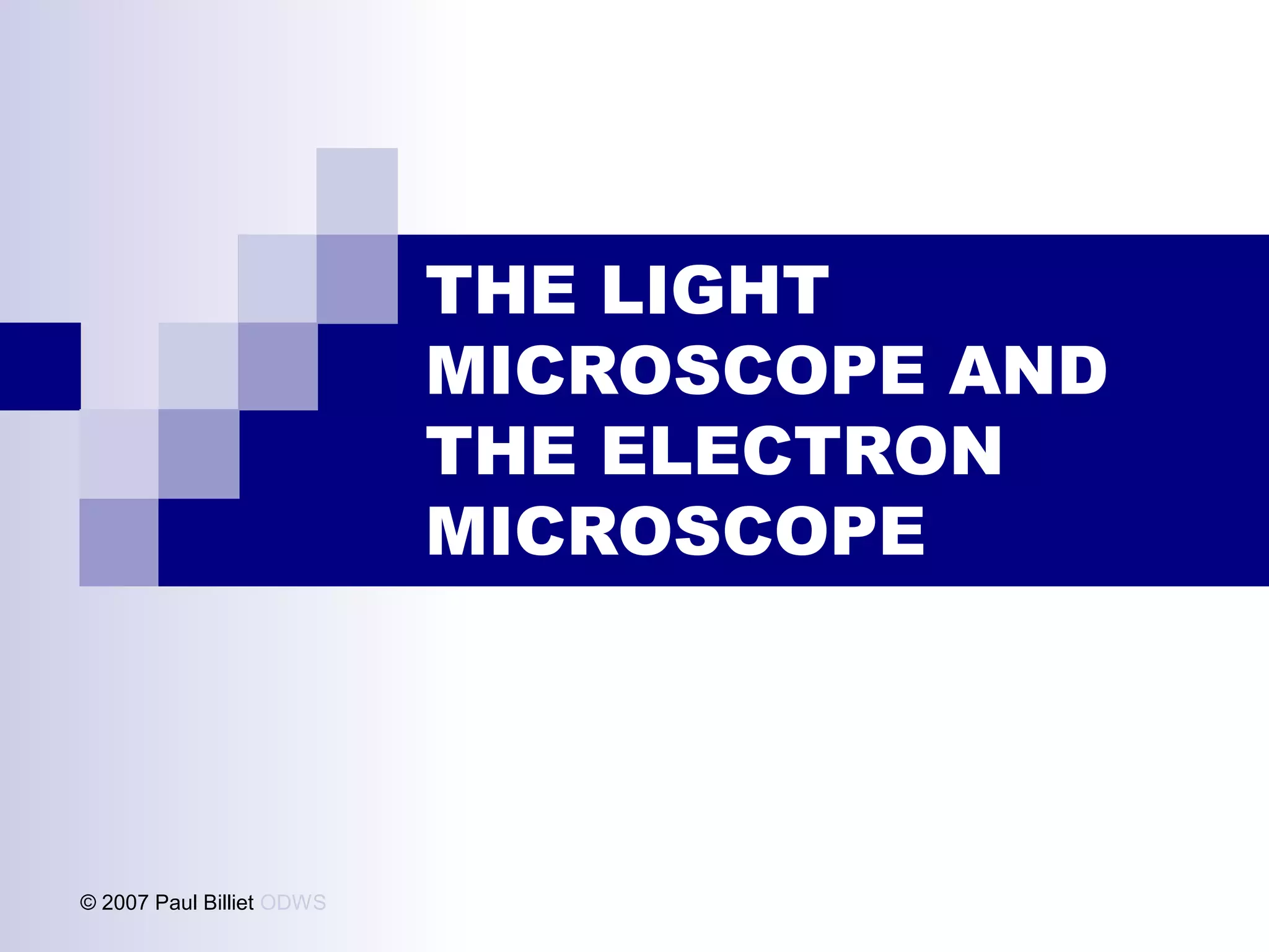 the light_electron microscopy] | PPT
