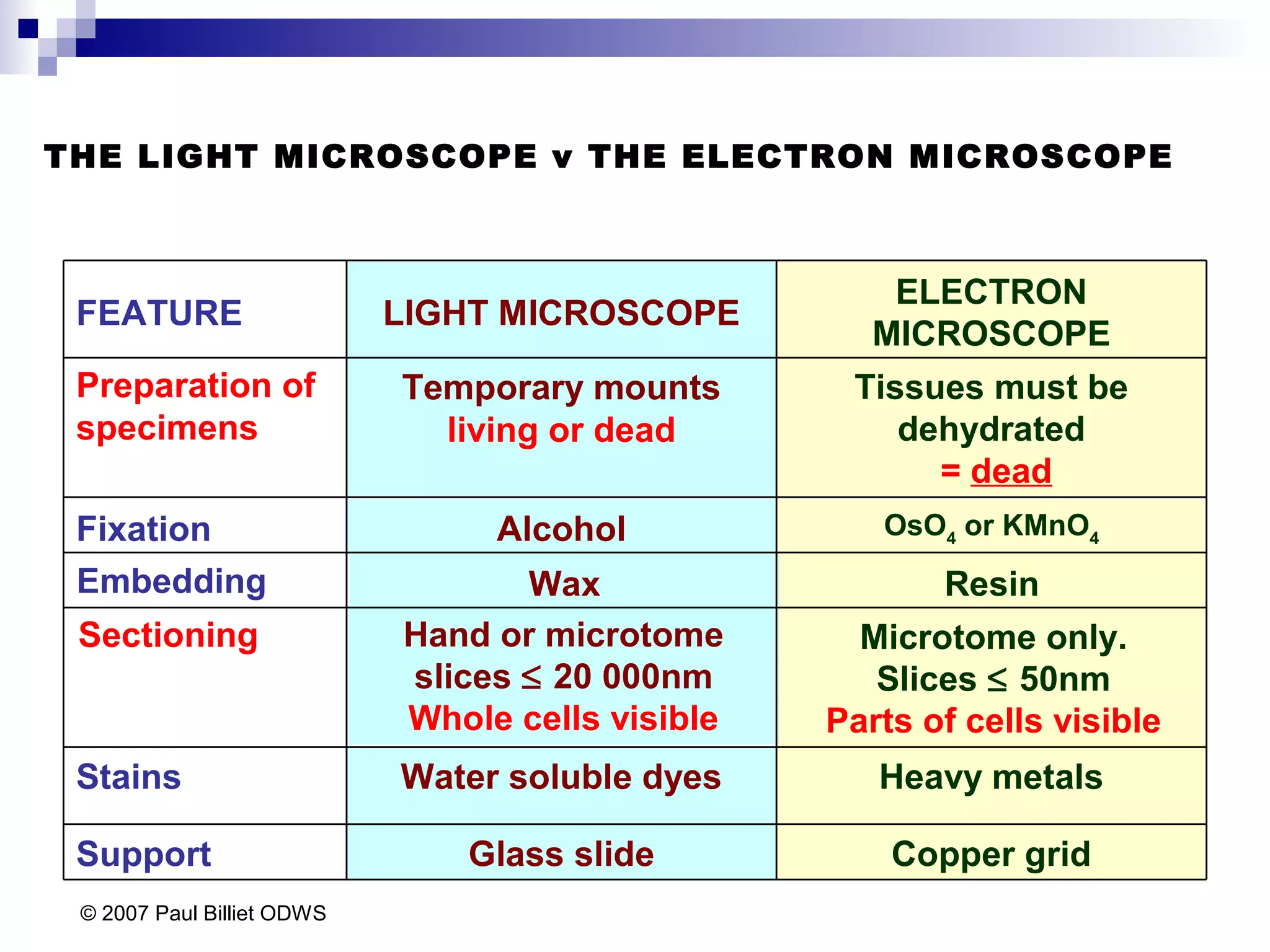 the light_electron microscopy] | PPT