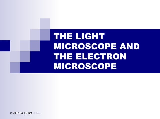 the light_electron microscopy] | PPT