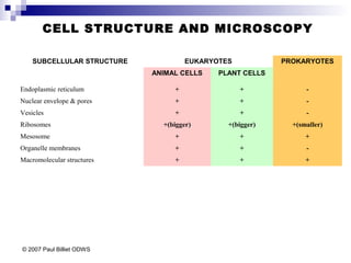 the light_electron microscopy] | PPT
