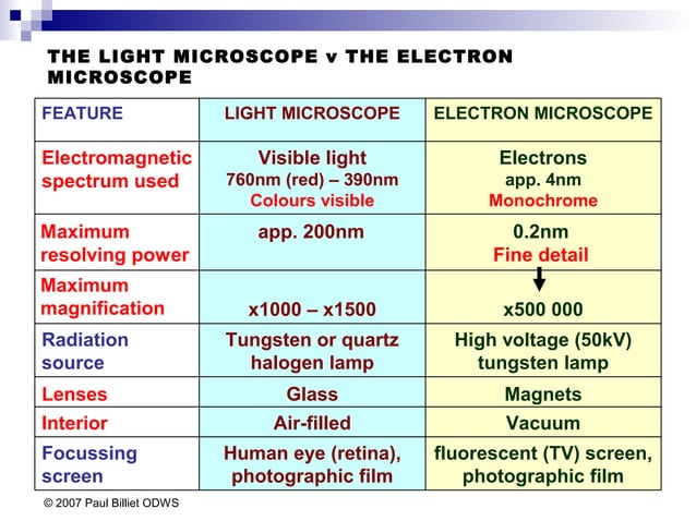 the light_electron microscopy] | PPT