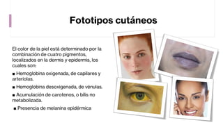 Tipología y estados de la piel | PDF