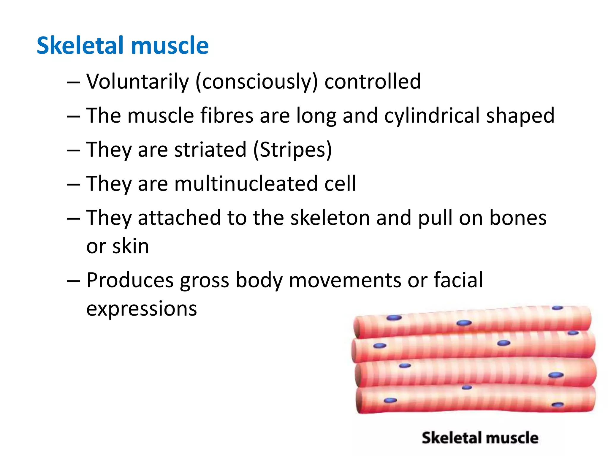 HUMAN TISSUE ANATOMY & PHYSIOLOGY | PPT