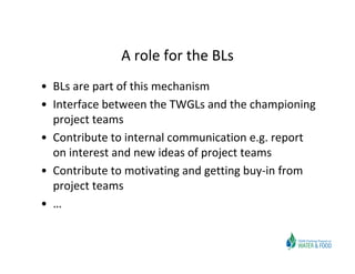 TWG feedback to BLs | PPT